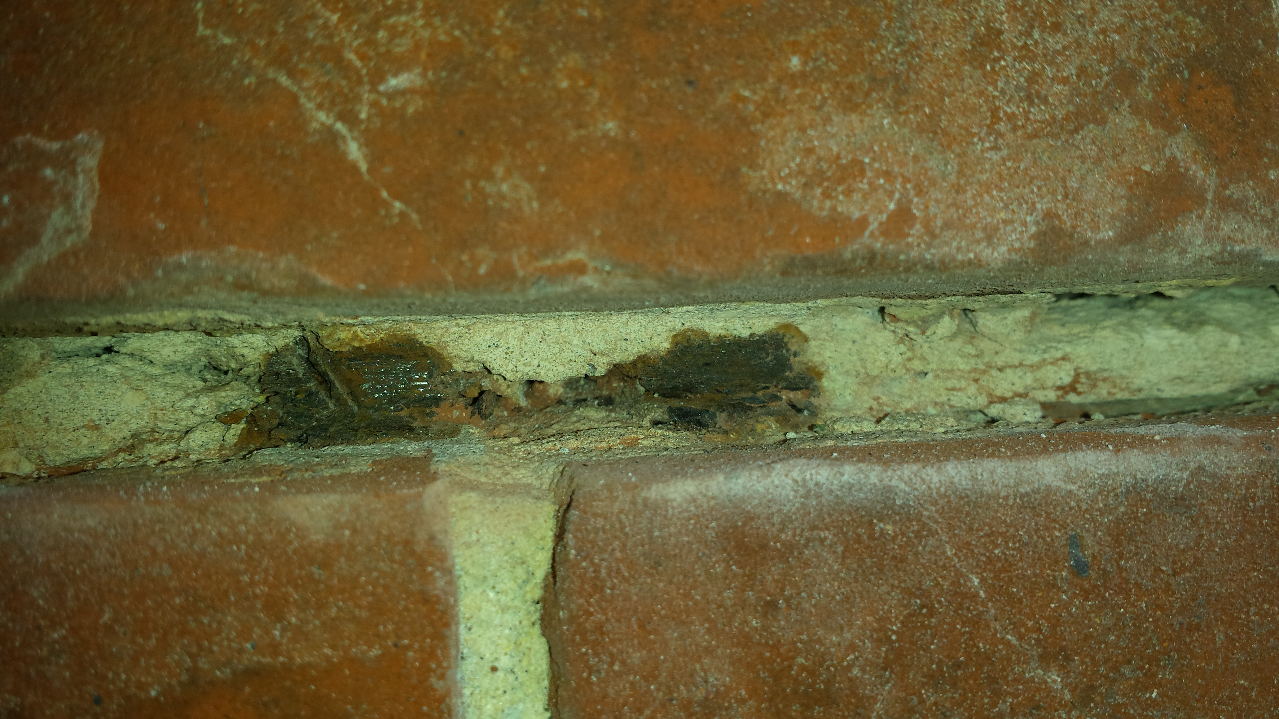 Cavity Wall Ties and Cavity Wall Tie Replacement | Coastal Wall Ties ...